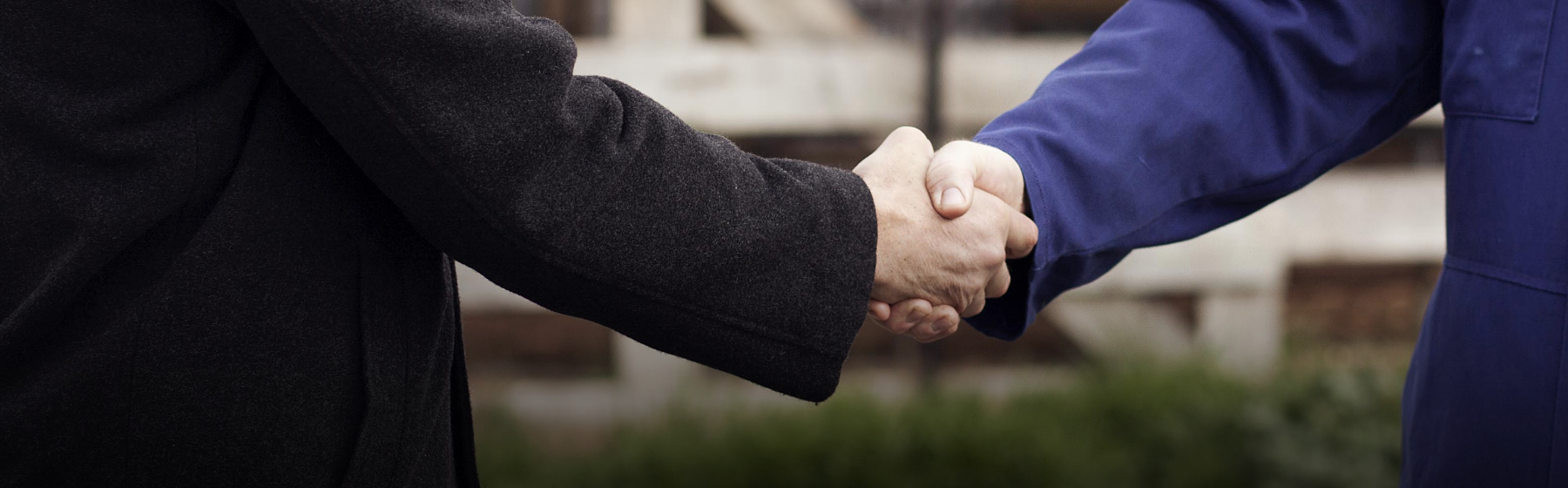 LIC Ireland Dairy Herd Breeding Genetics Farm Consultancy & More