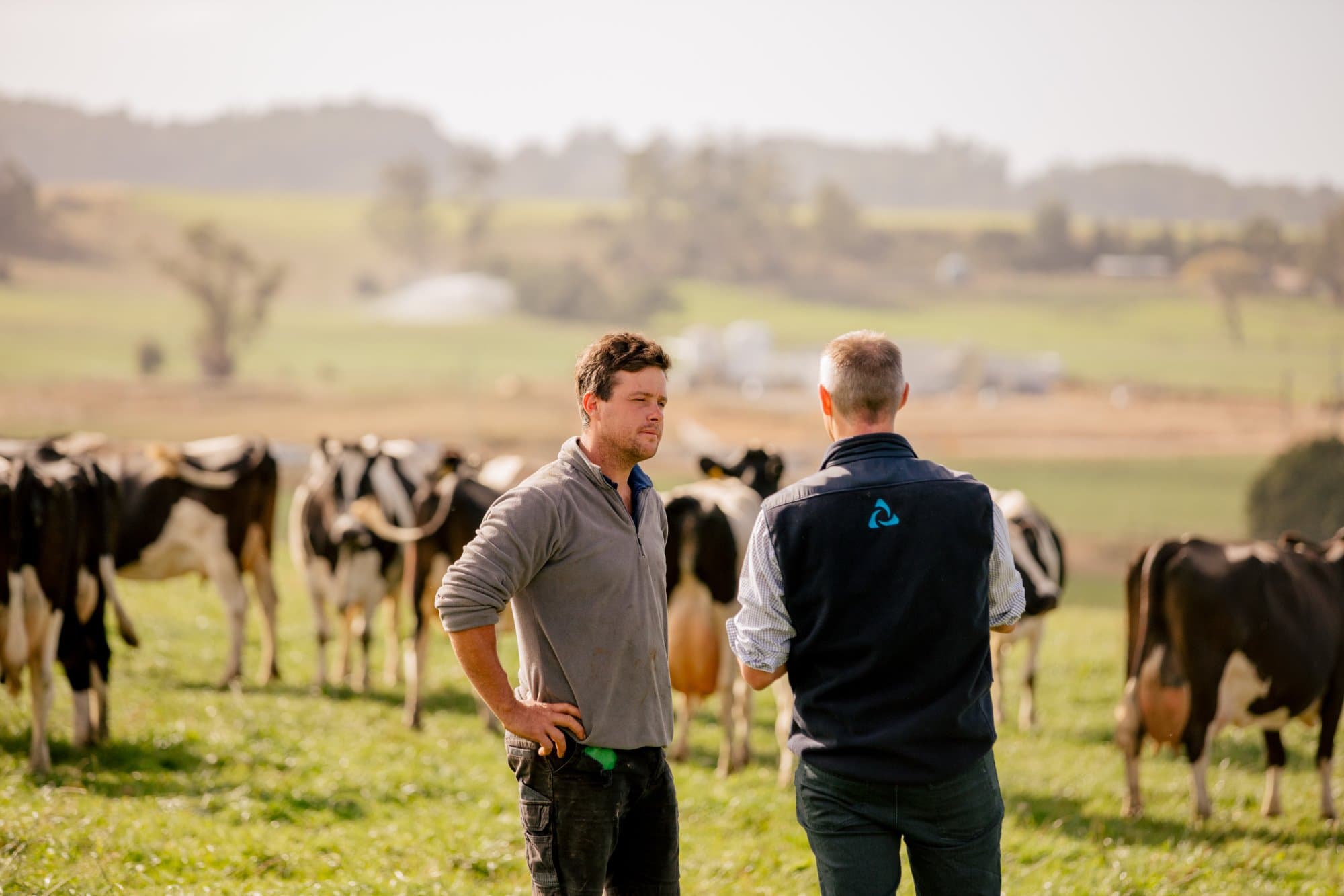 LIC Ireland Dairy Herd Breeding Genetics Farm Consultancy & More